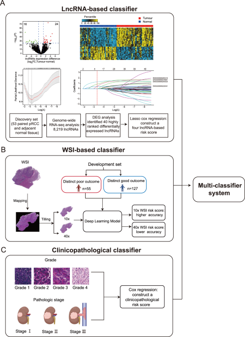A multi-classifier system integrated by clinico-histology-genomic analysis for predicting ...