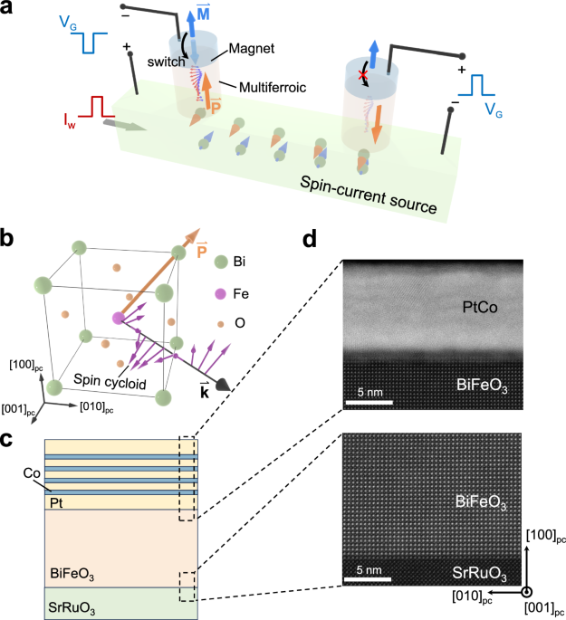 Voltage control of multiferroic magnon torque for reconfigurable logic ...
