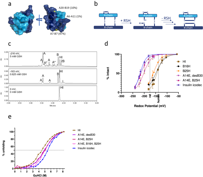 Enhanced disulphide bond stability contributes to the once-weekly ...