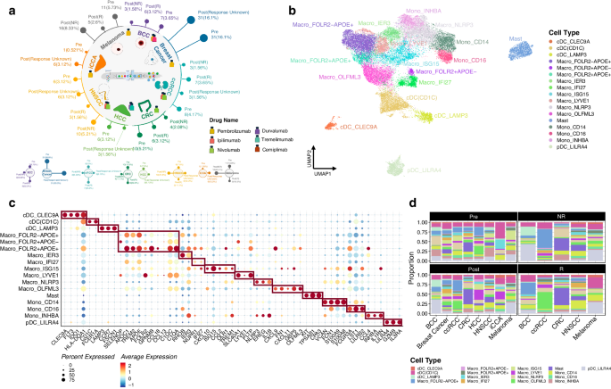 A single-cell pan-cancer analysis to show the variability of tumor ...