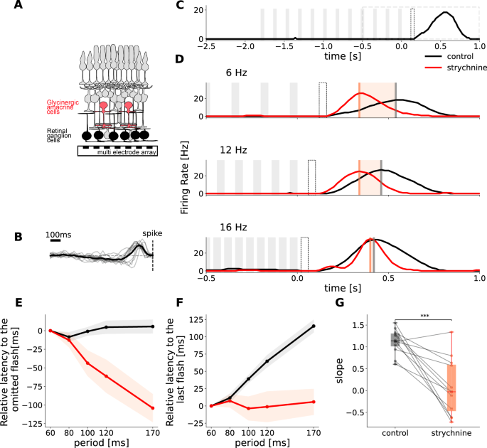 Temporal pattern recognition in retinal ganglion cells is mediated by ...