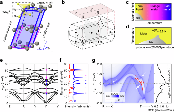 Evidence of strong and mode-selective electron–phonon coupling in the ...