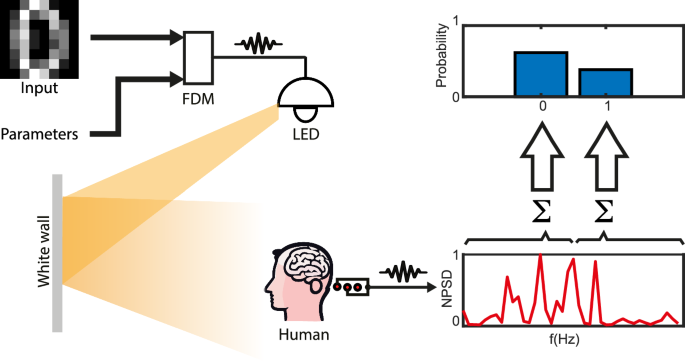 Human-centred physical neuromorphics with visual brain-computer interfaces | Nature Communications