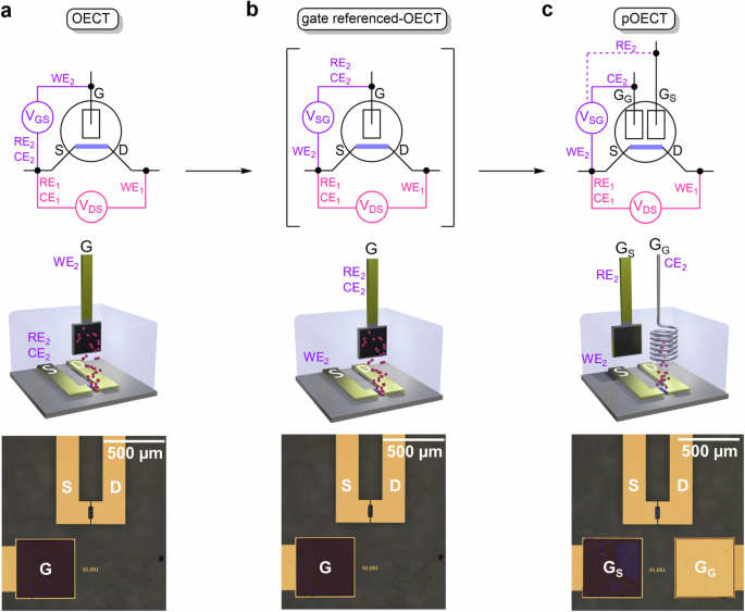 Reconfiguration of organic electrochemical transistors for high ...