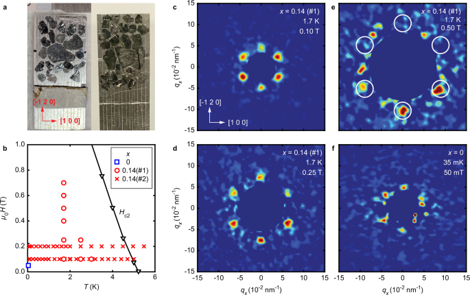 Conventional superconductivity in the doped kagome superconductor Cs(V0 ...