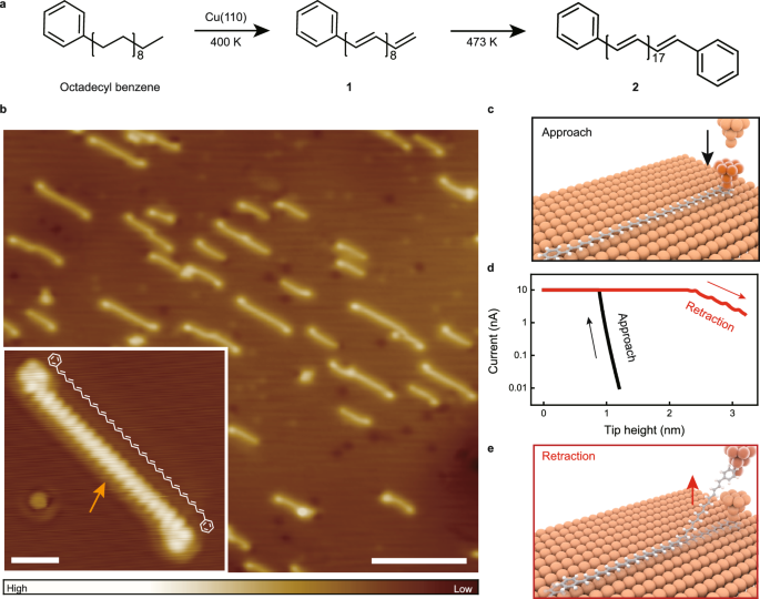 Quantifying the conductivity of a single polyene chain by lifting with ...