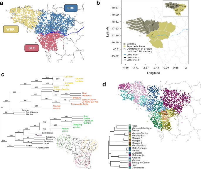 Human genetic structure in Northwest France provides new insights into ...