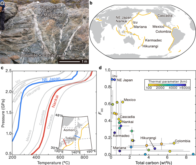 Subducted carbon weakens the forearc mantle wedge in a warm subduction ...