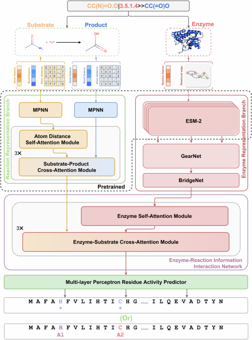 Multi-modal deep learning enables efficient and accurate annotation of ...
