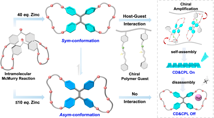 TPE-embedded butterfly bis-crown ether with controllable conformation ...