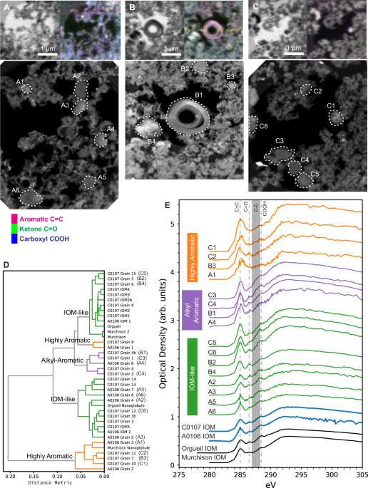 Variations of organic functional chemistry in carbonaceous matter from ...