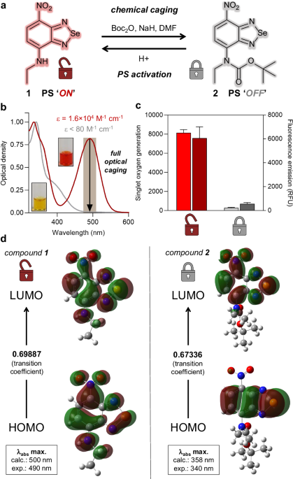 Tuning singlet oxygen generation with caged organic photosensitizers ...