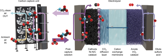 Reactive capture of CO2 via amino acid | Nature Communications