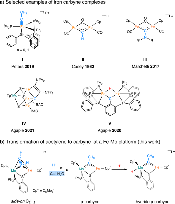 Water-catalyzed iron-molybdenum carbyne formation in bimetallic ...