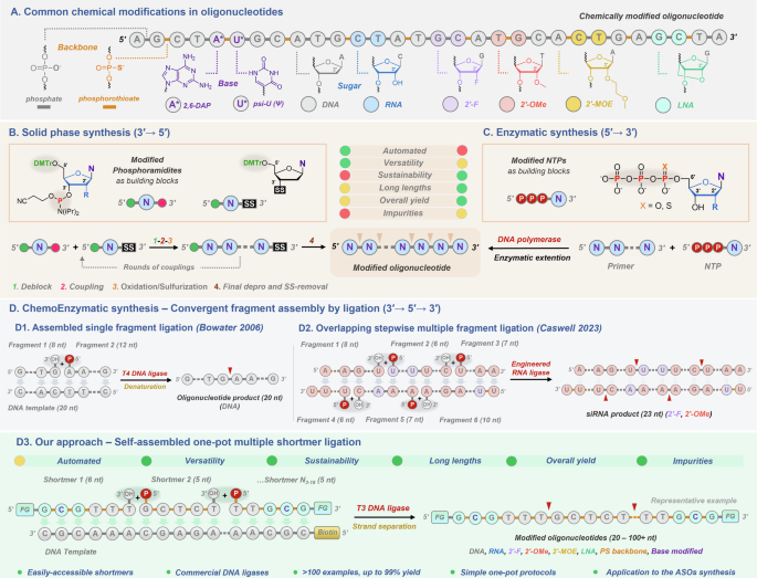 Template-dependent DNA ligation for the synthesis of modified ...