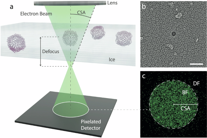 Low-dose cryo-electron ptychography of proteins at sub-nanometer ...