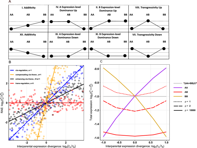 Unifying framework explaining how parental regulatory divergence can ...
