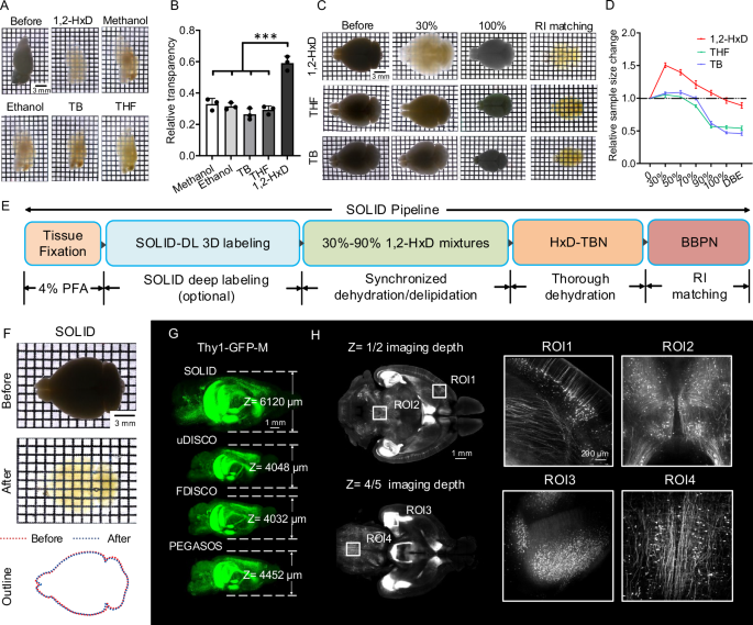 SOLID: minimizing tissue distortion for brain-wide profiling of diverse ...
