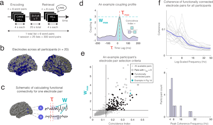 Dynamic patterns of functional connectivity in the human brain underlie ...