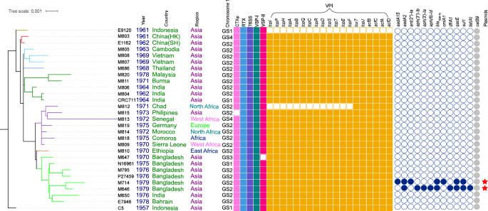 Genomic evidence of two-staged transmission of the early seventh ...