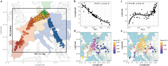 Genomic variation of European beech reveals signals of local adaptation ...