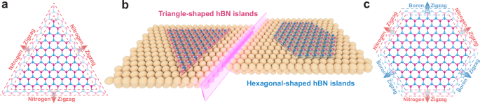 Single-crystal hBN Monolayers from Aligned Hexagonal Islands | Nature ...