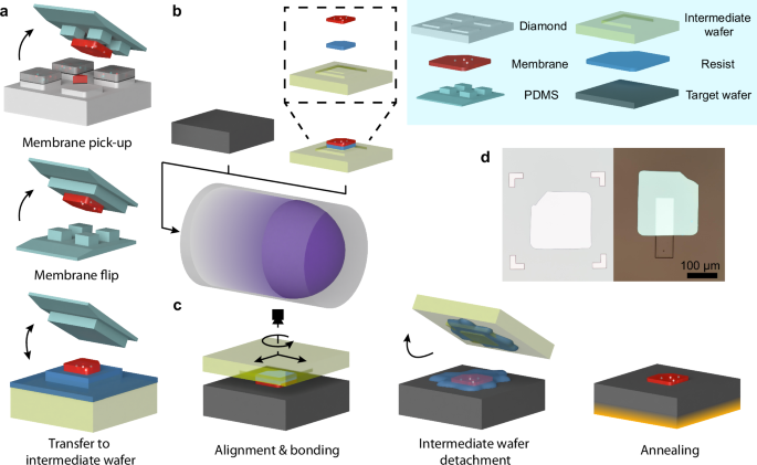 Direct-bonded diamond membranes for heterogeneous quantum and ...