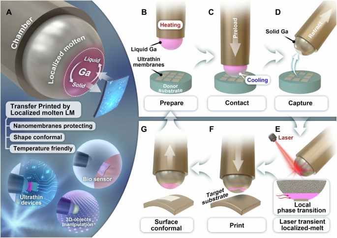 Precision-induced localized molten liquid metal stamps for damage-free transfer printing of ...