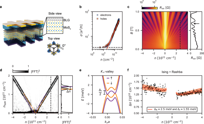 Spin-orbit proximity in MoS2/bilayer graphene heterostructures | Nature ...