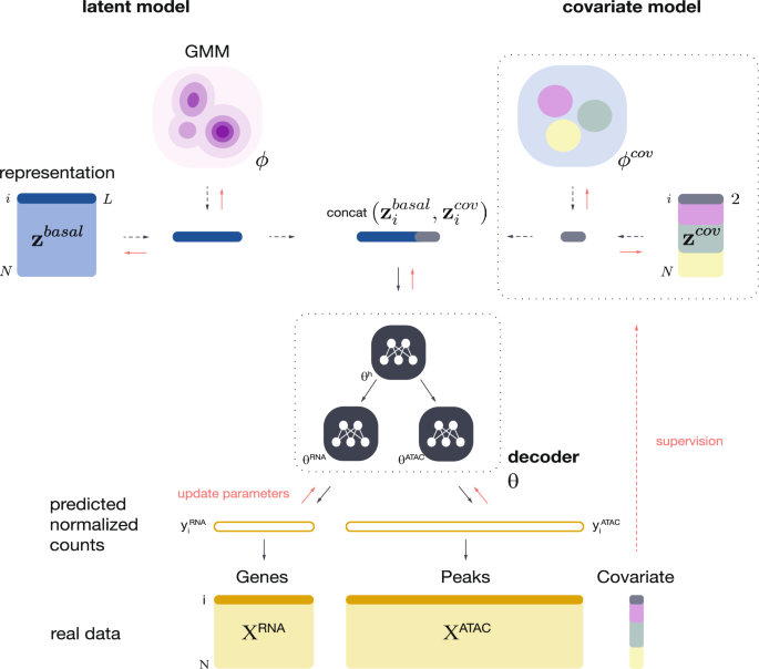 multiDGD: A versatile deep generative model for multi-omics data | Nature Communications