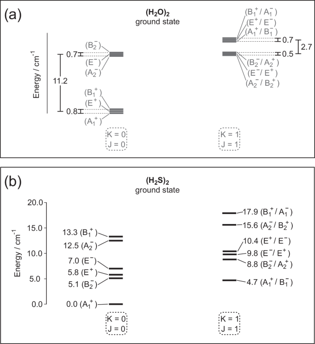 On the nature of hydrogen bonding in the H2S dimer | Nature Communications