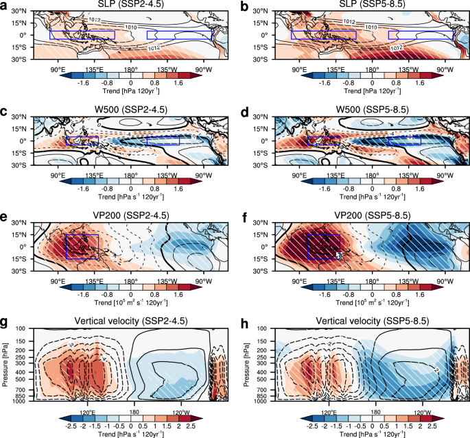 Early emergence and determinants of human-induced Walker circulation ...