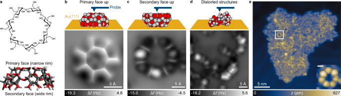 Atomically resolved imaging of the conformations and adsorption ...