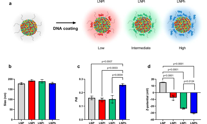 Structuring lipid nanoparticles, DNA, and protein corona into stealth ...