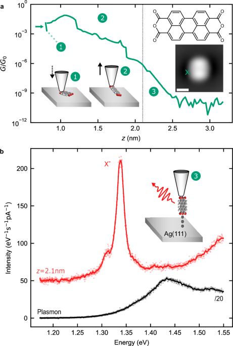 Fluorescence from a single-molecule probe directly attached to a ...