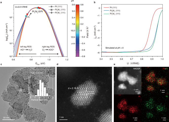 Carbon-anchoring synthesis of Pt1Ni1@Pt/C core-shell catalysts for stable oxygen reduction ...