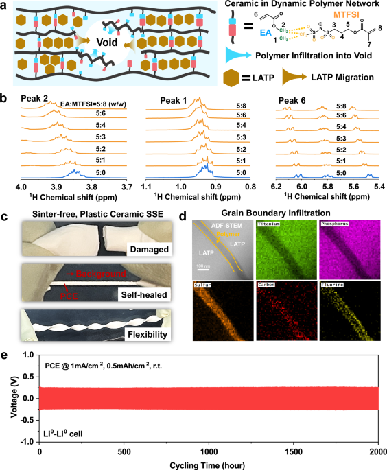 A self-healing plastic ceramic electrolyte by an aprotic dynamic ...