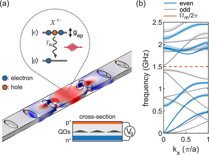 A single-photon emitter coupled to a phononic-crystal resonator in the ...