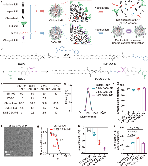 Charge-assisted stabilization of lipid nanoparticles enables inhaled ...