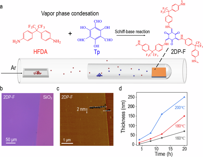 High-performance 2D electronic devices enabled by strong and tough two ...
