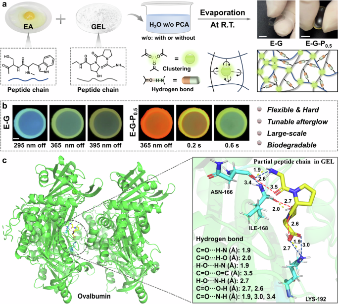 Bio-sourced flexible supramolecular glasses for dynamic and full-color ...