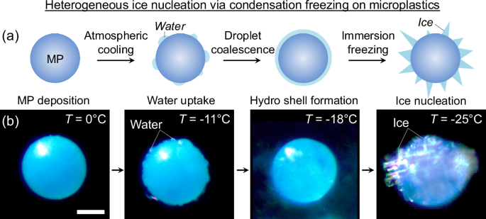 Weathering influences the ice nucleation activity of microplastics ...