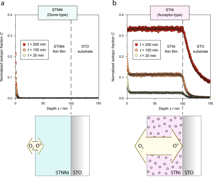 Thermal stability and coalescence dynamics of exsolved metal ...