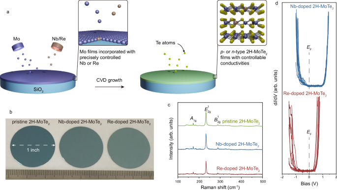 Precise p-type and n-type doping of two-dimensional semiconductors for ...