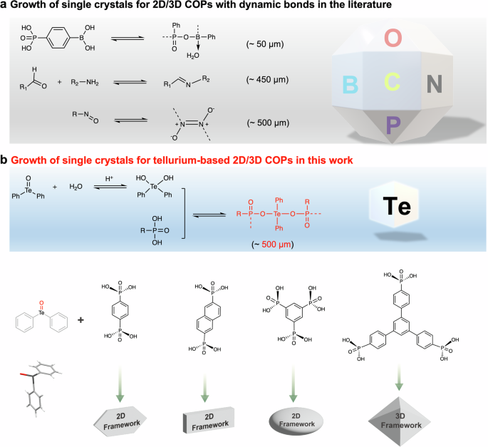 Growing large single crystals of two- or three-dimensional covalent ...