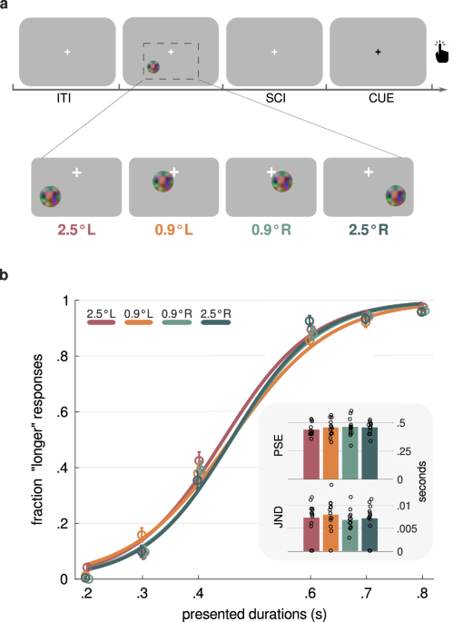 The neural link between stimulus duration and spatial location in the ...