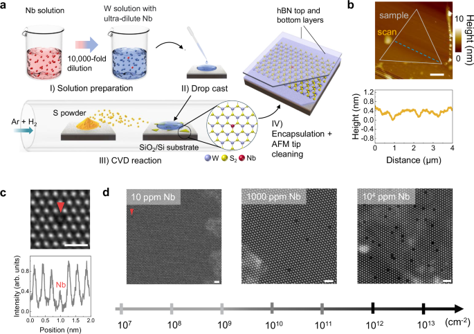 Nb impurity-bound excitons as quantum emitters in monolayer WS2 ...