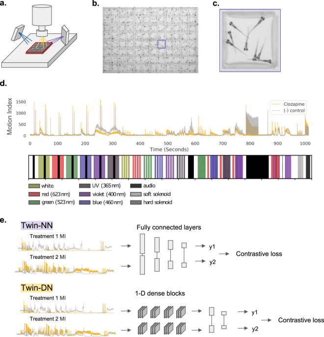Deep phenotypic profiling of neuroactive drugs in larval zebrafish ...
