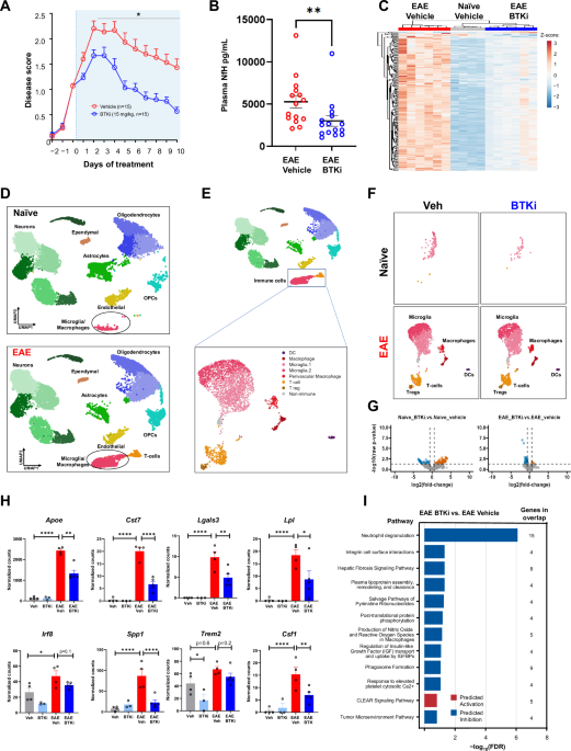 BTK regulates microglial function and neuroinflammation in human stem ...