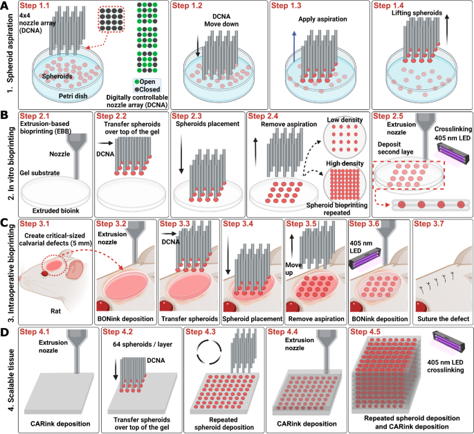 High-throughput bioprinting of spheroids for scalable tissue fabrication | Nature Communications